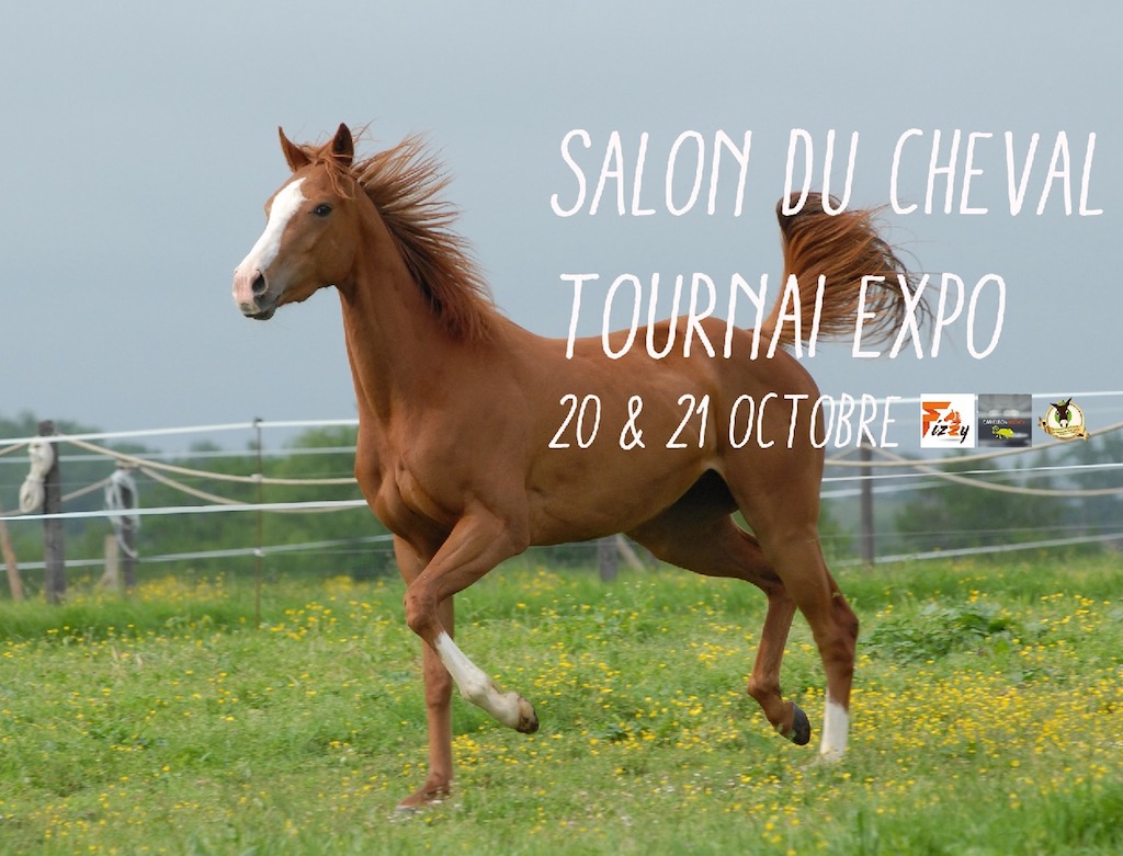 Salon cheval Mons et tournai 2017 Salon du cheval du poney et de l'âne